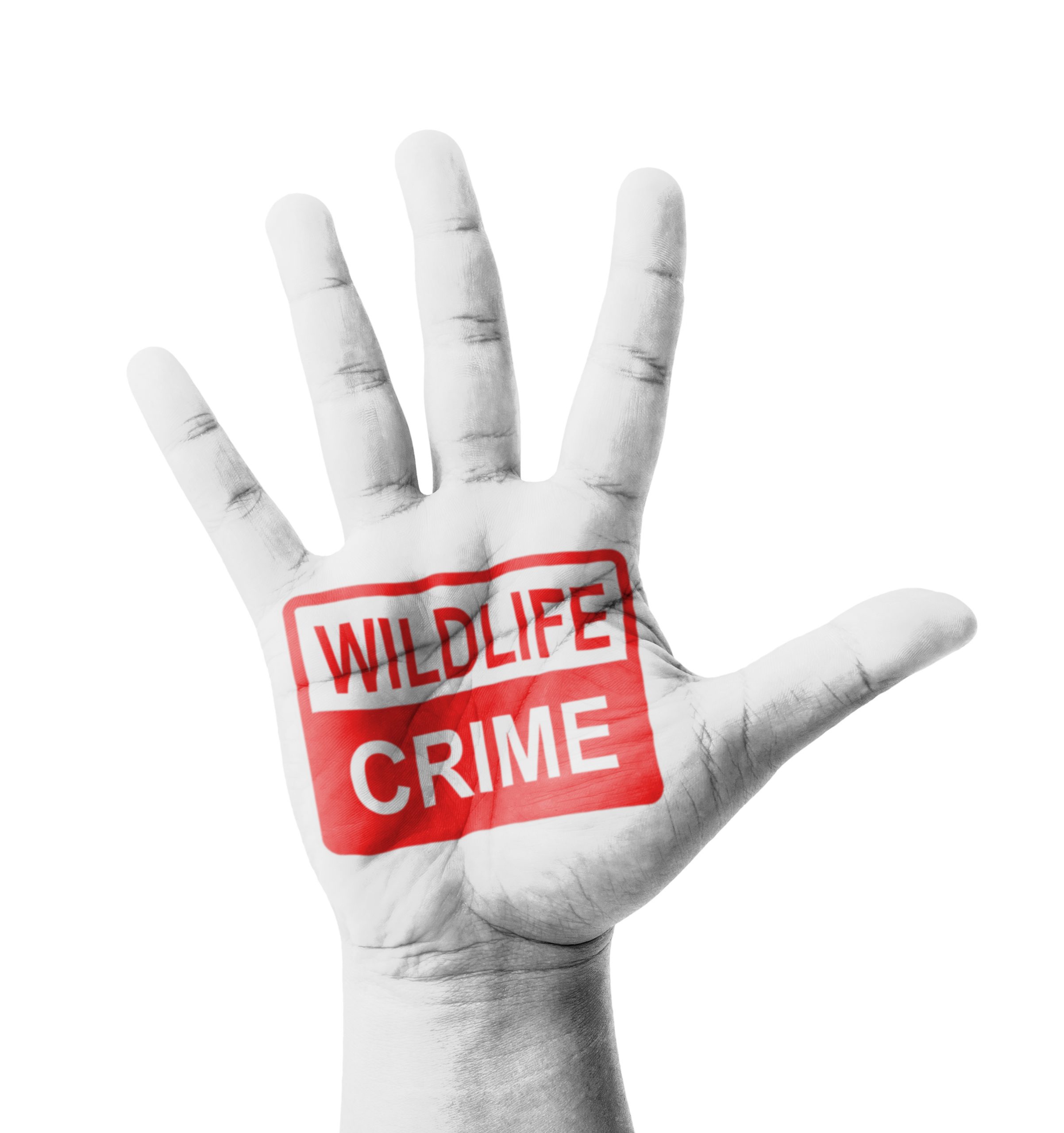 New Report Exposes Illegal Wildlife Trade ... Including Use of Social ...